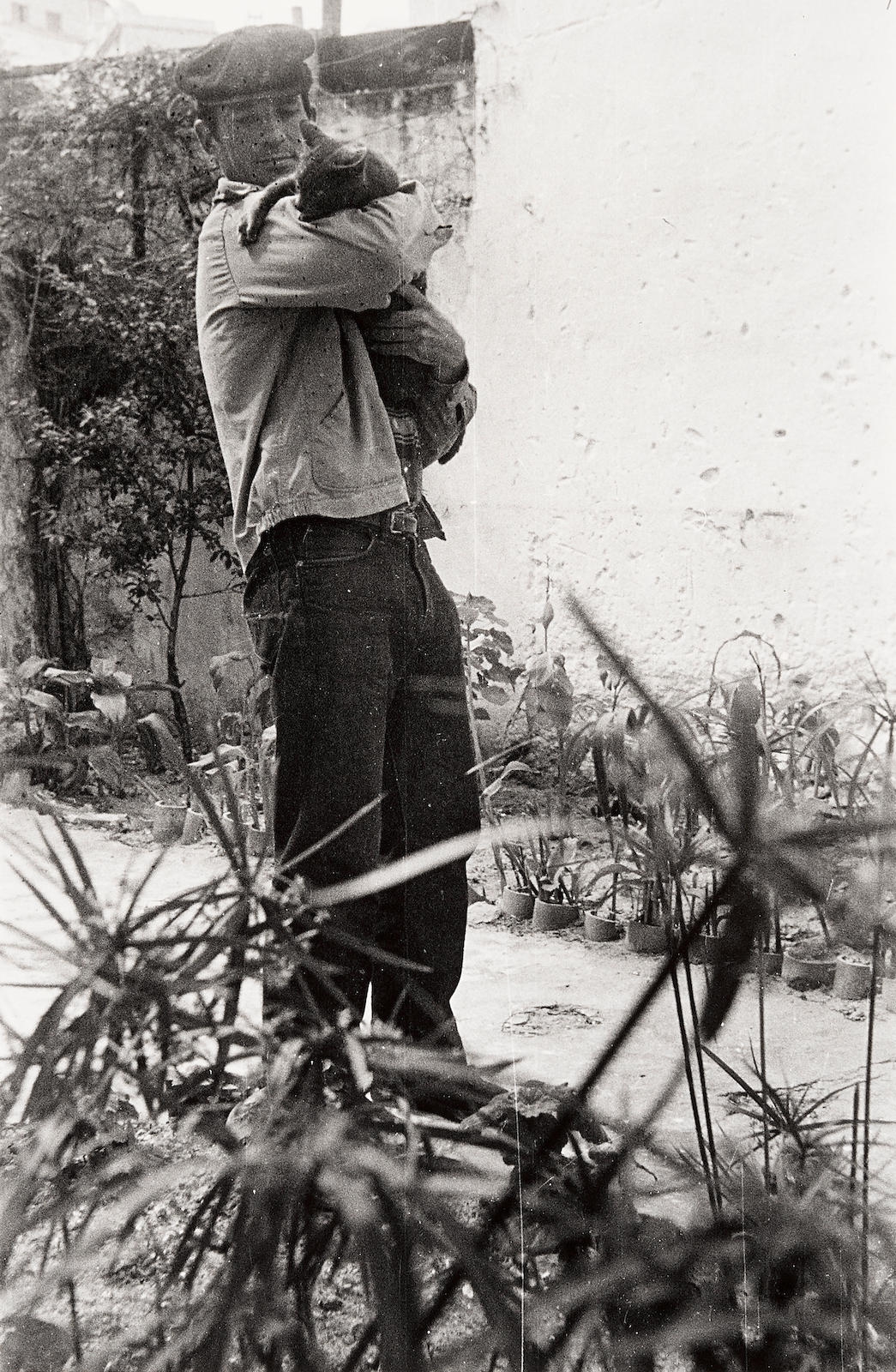 Allen Ginsberg | Jack Kerouac holding William S. Burroughs' Cat, Villa ...