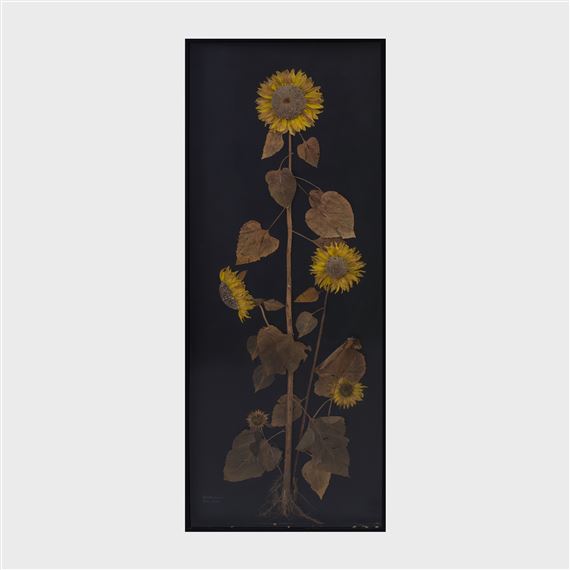 William Stuart Thornton | 12 Artworks at Auction | MutualArt