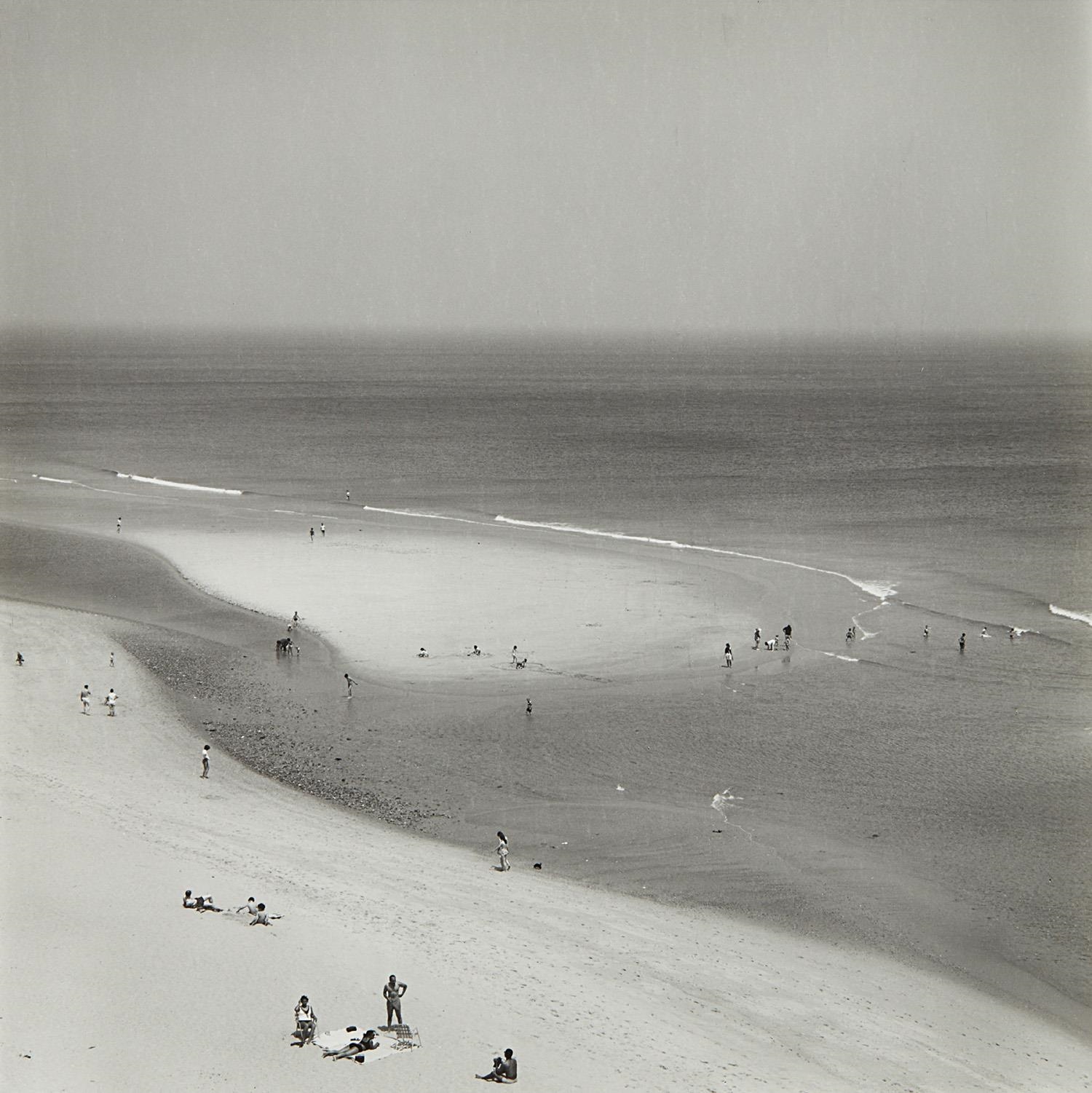 Harry Callahan | Cape Cod (1972) | MutualArt