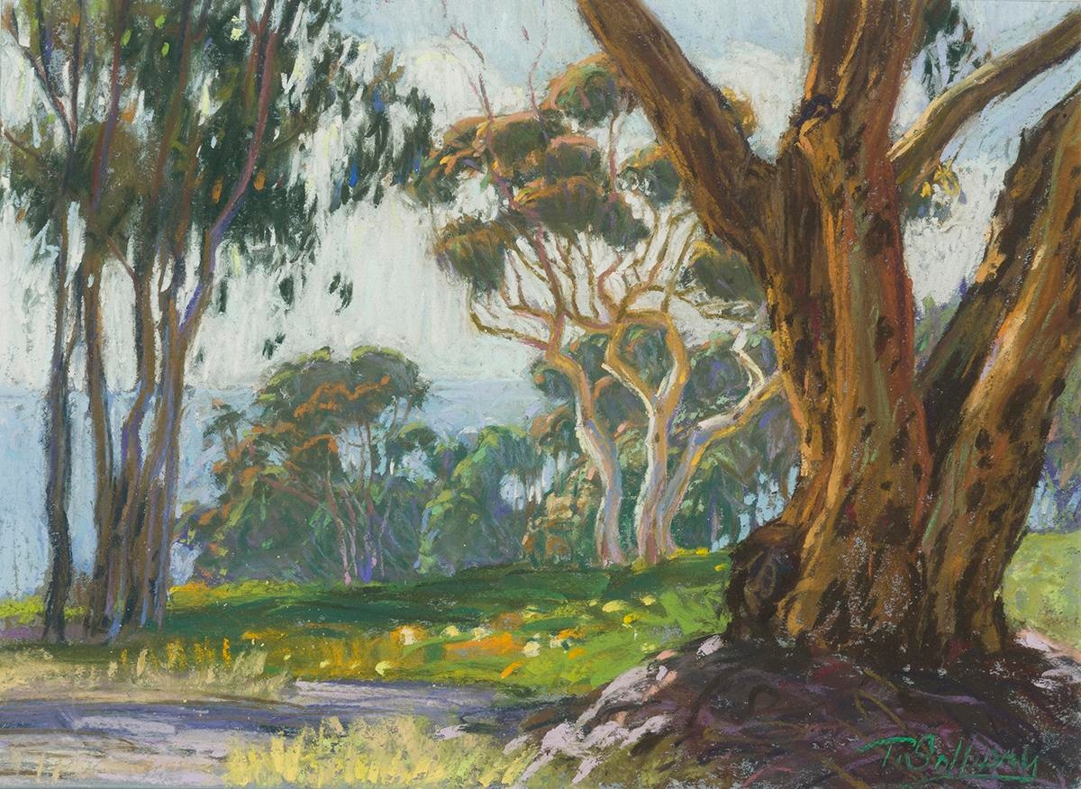 Tim Solliday | Eucalyptus landscape | MutualArt