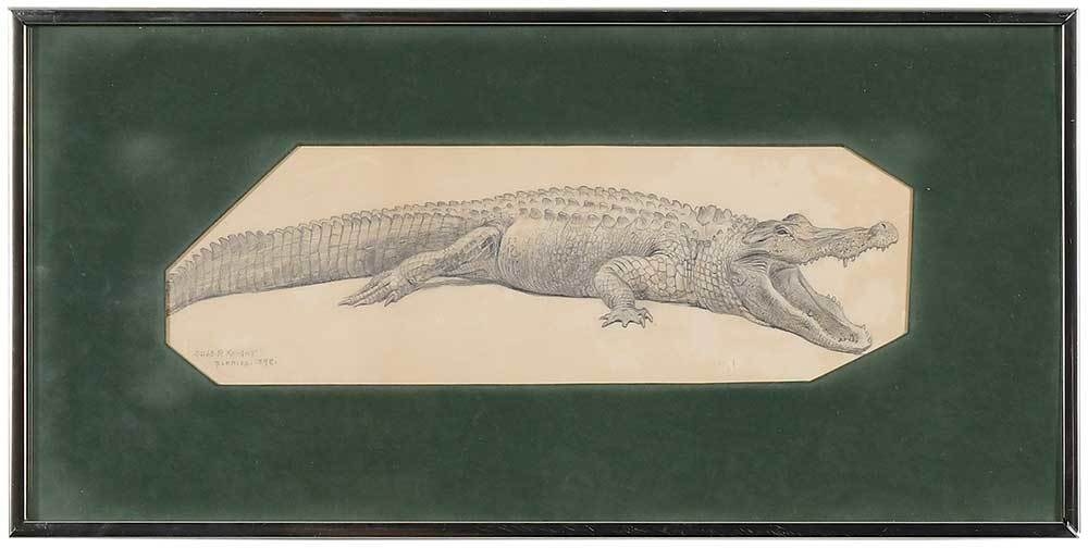 Charles R. Knight | Alligator (1898) | MutualArt