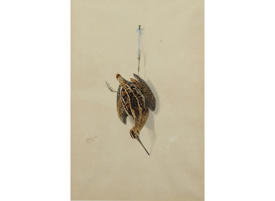 George Louis Viavant | Natur Morte of a Snipe (1920) | MutualArt