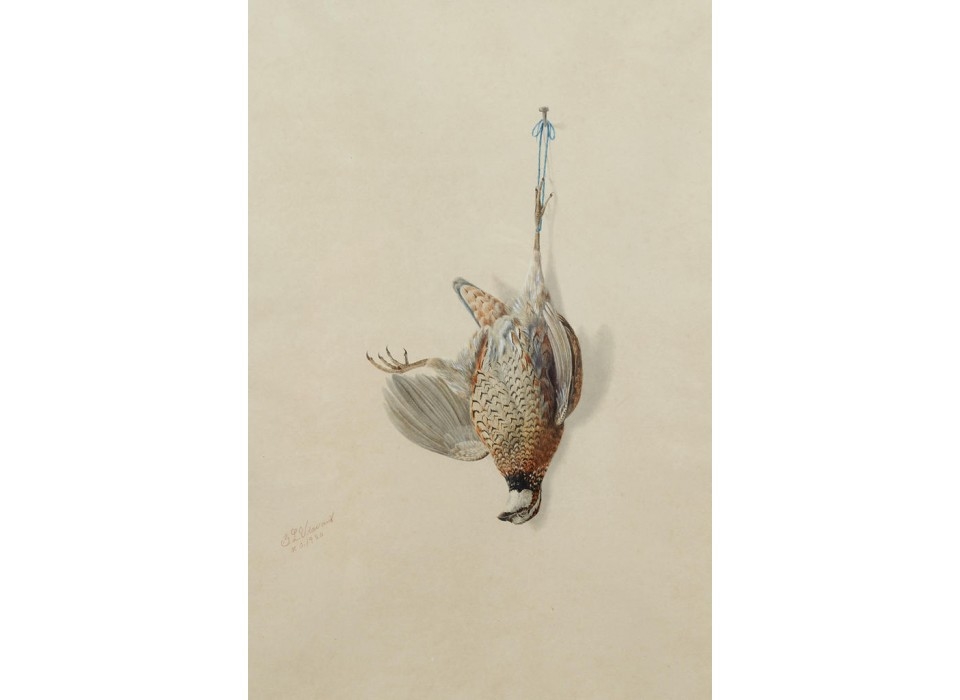 George Louis Viavant | Natur Morte of a Phesant (1920) | MutualArt