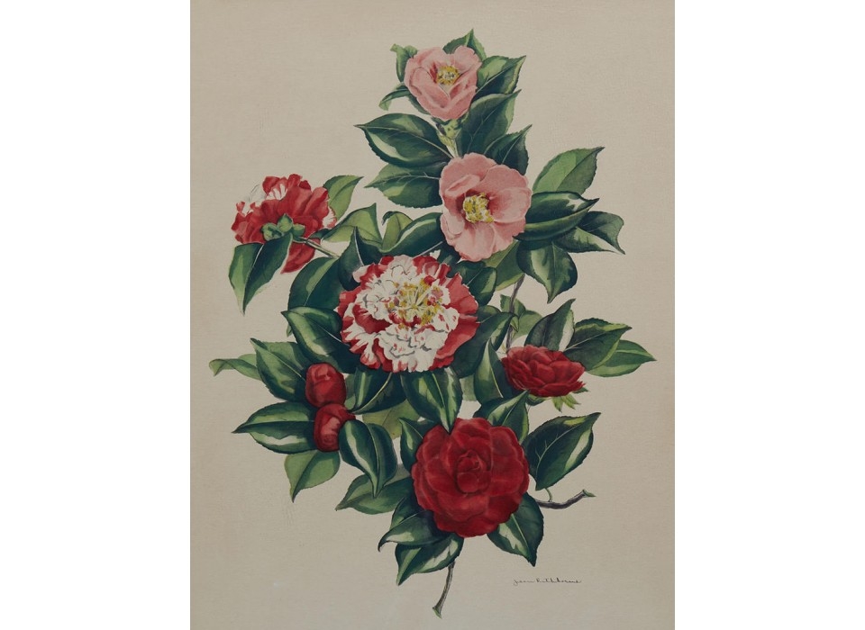 Jean Rathborne | Still Life of Camellias | MutualArt