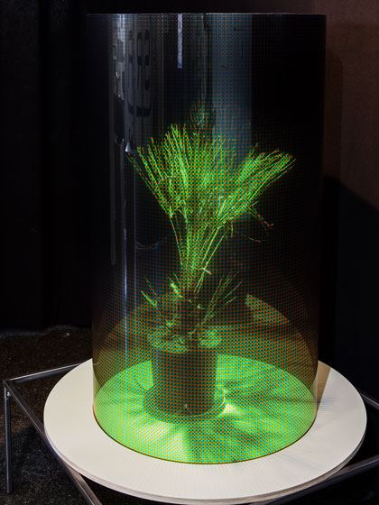 Robert Bodnar | Artist Overview | MutualArt