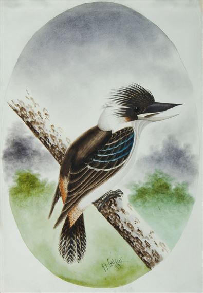 H. Hepburn Calvert | Kookaburra (1919) | MutualArt