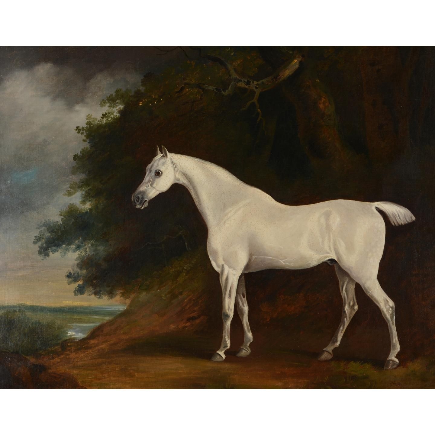 David Dalby of York | Grey stallion in a landscape | MutualArt
