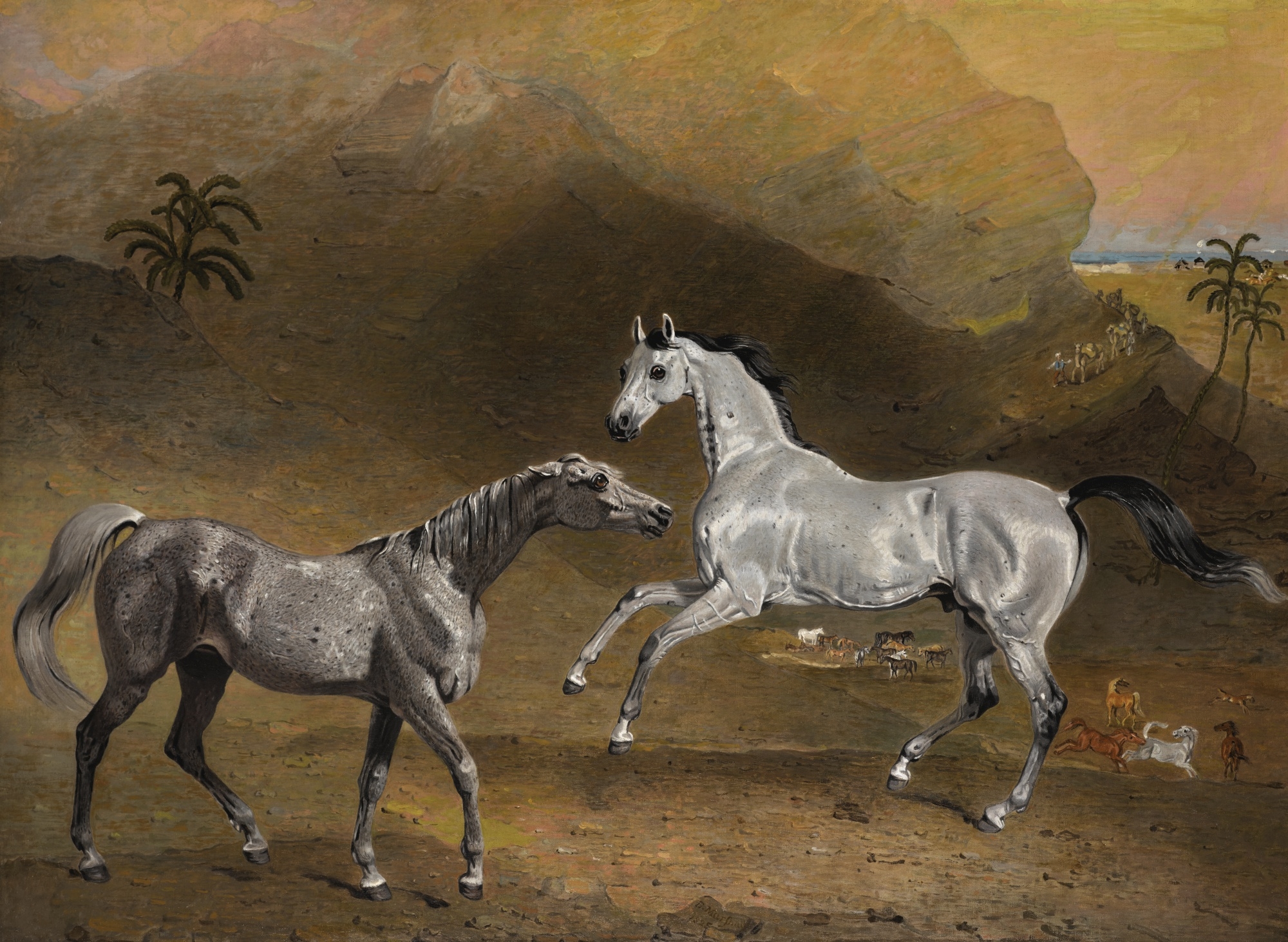 Benjamin Marshall | The Malcolm Arabian, together with a dark grey mare ...