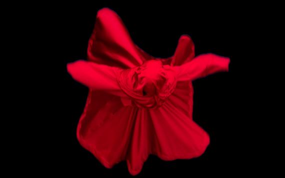 Mwangi Hutter | Exhibitions | MutualArt