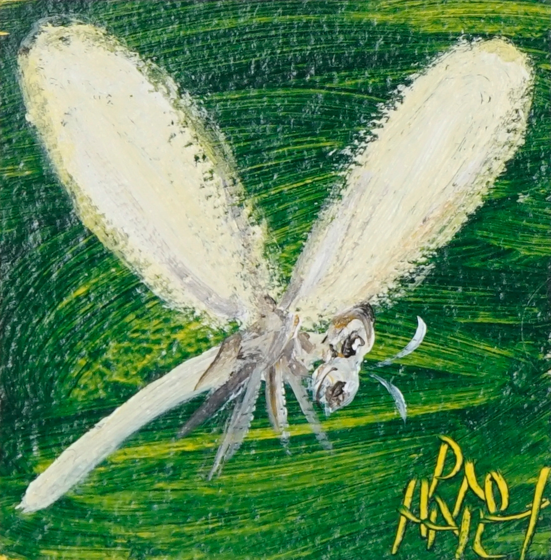 Kevin Charles Hart | Dragonfly | MutualArt