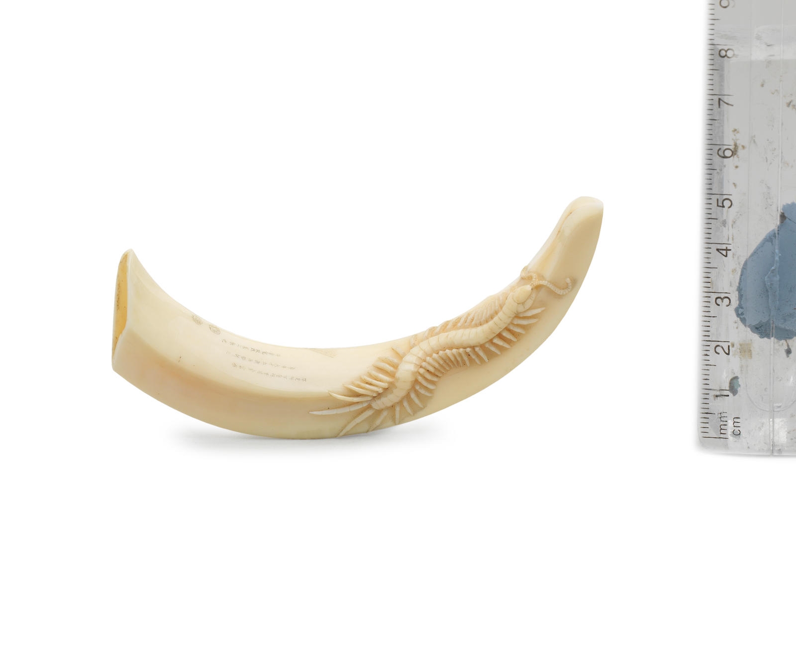 Seiyodo Tomiharu | A boar-tusk netsuke with a spider | MutualArt