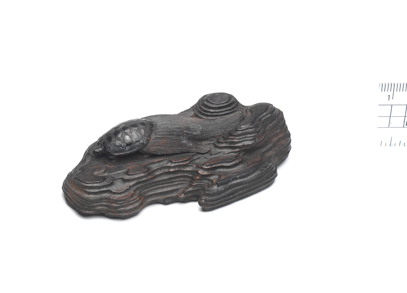 Seiyodo Tomiharu | A boar-tusk netsuke with a spider | MutualArt