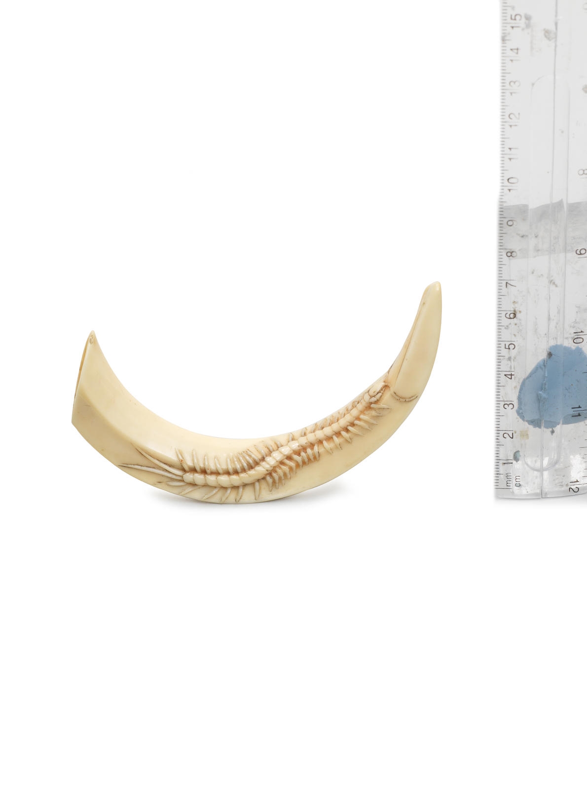 Seiyodo Tomiharu | A boar-tusk netsuke with a centipede | MutualArt