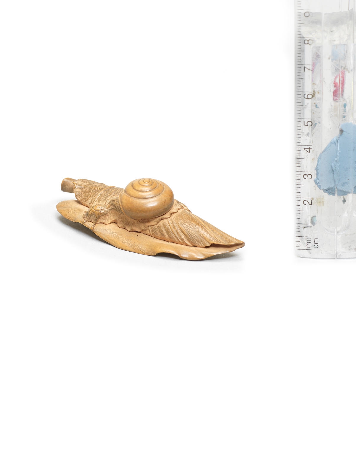 Seiyodo Tomiharu | A boar-tusk netsuke with a spider | MutualArt