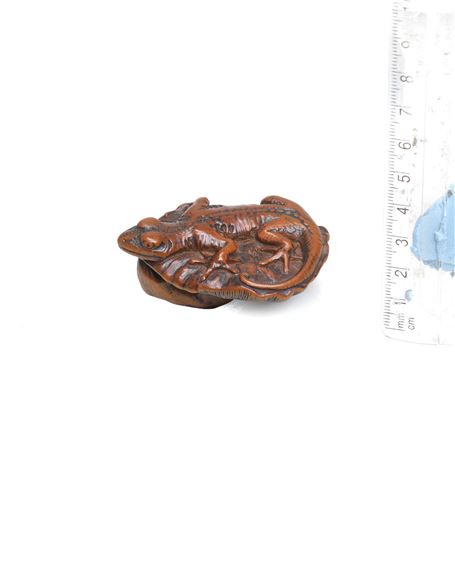 Mitani Goho | A boxwood netsuke of a lizard on a mushroom | MutualArt