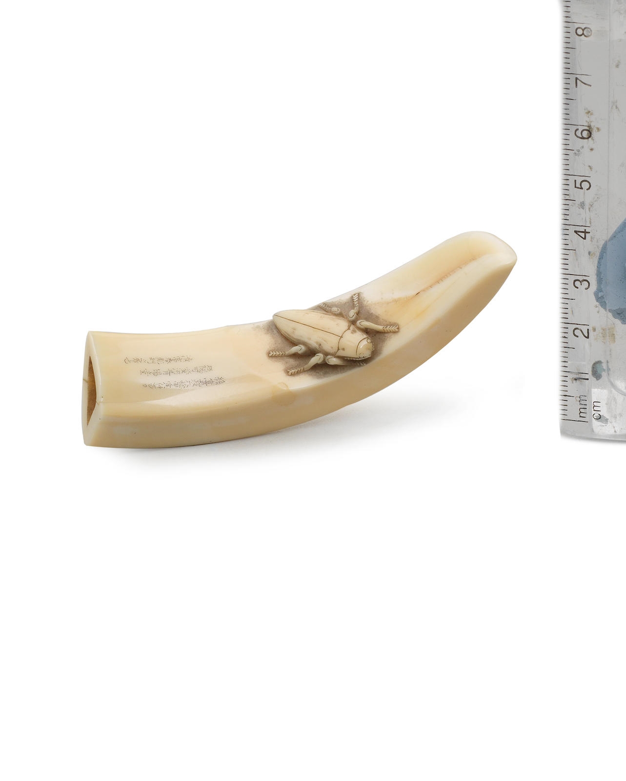 Seiyodo Tomiharu | A boar-tusk netsuke with a spider | MutualArt