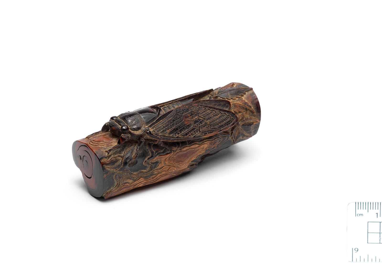 Kanman | An umimatsu (sea-pine) netsuke of a cicada | MutualArt