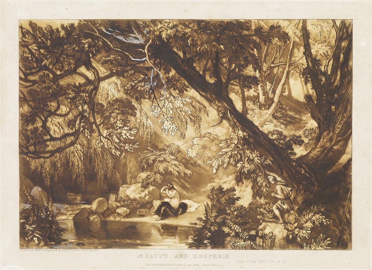 Joseph Mallord William Turner | Aesacus and Hesperie | MutualArt