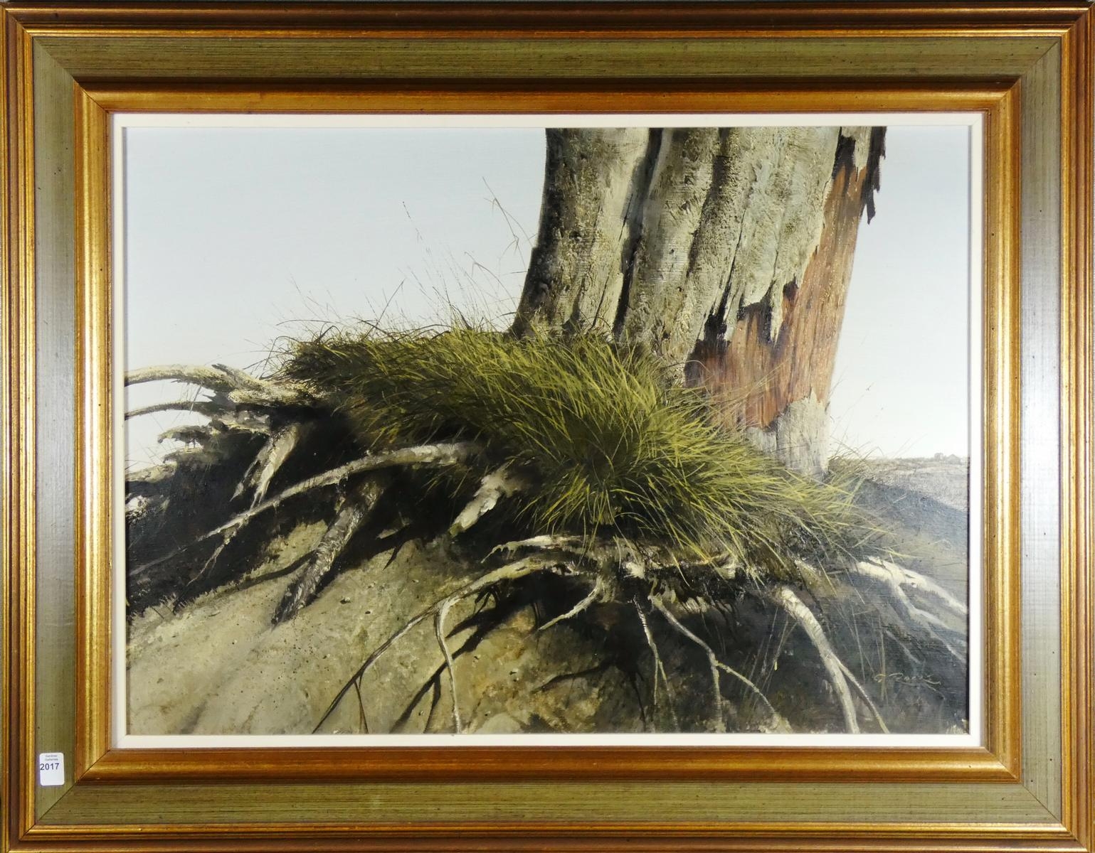 Geoffrey Allan Rock | Root Study (1969) | MutualArt