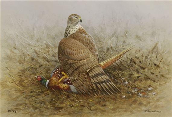 R. David Digby | Harry a Goshawk on a Pheasant | MutualArt