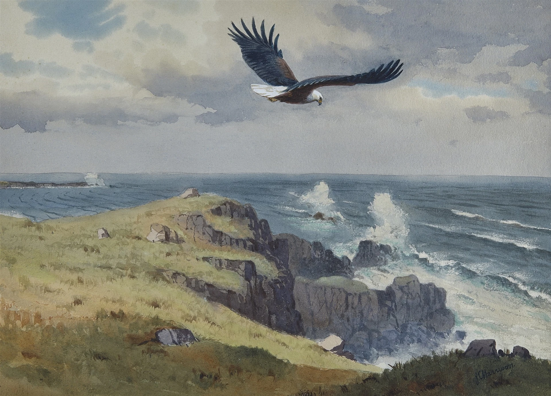 John Cyril Harrison | African Fish Eagle | MutualArt