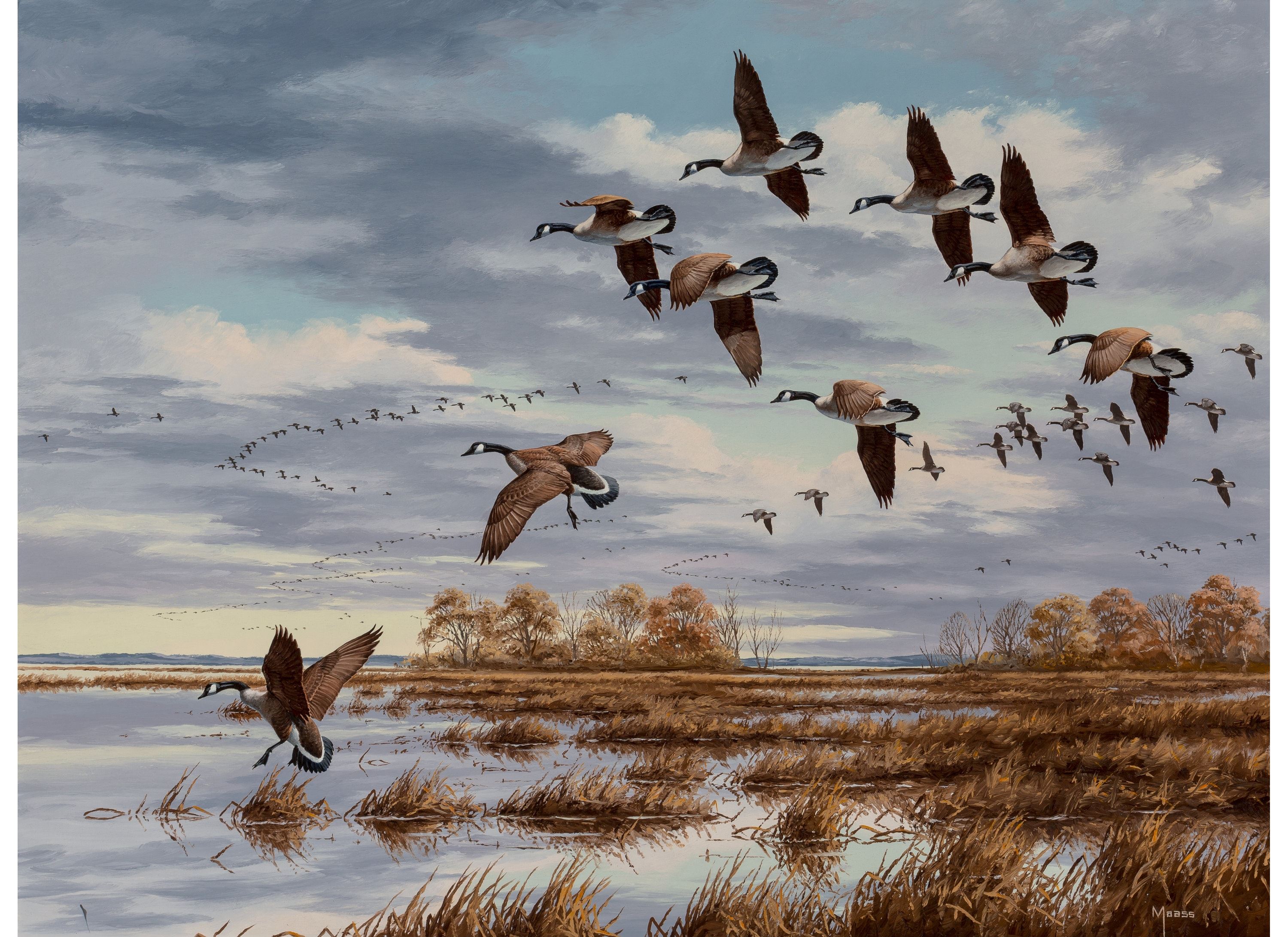 David Maass | Back to the Marsh | MutualArt