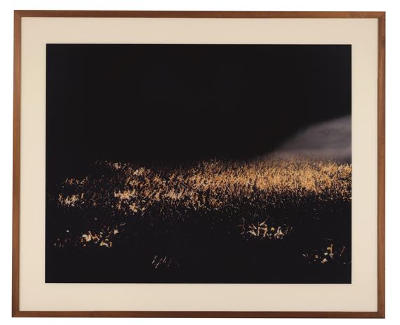 Andreas Gursky | MAY DAY II (1998) | MutualArt