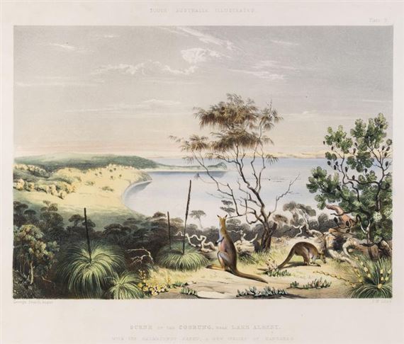 George French Angas | Scene on the Coorong, near Lake Albert (1847 ...