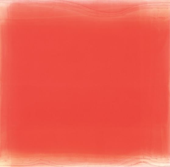 Kim Taek Sang | Breathing Light - Camellia Flower | MutualArt