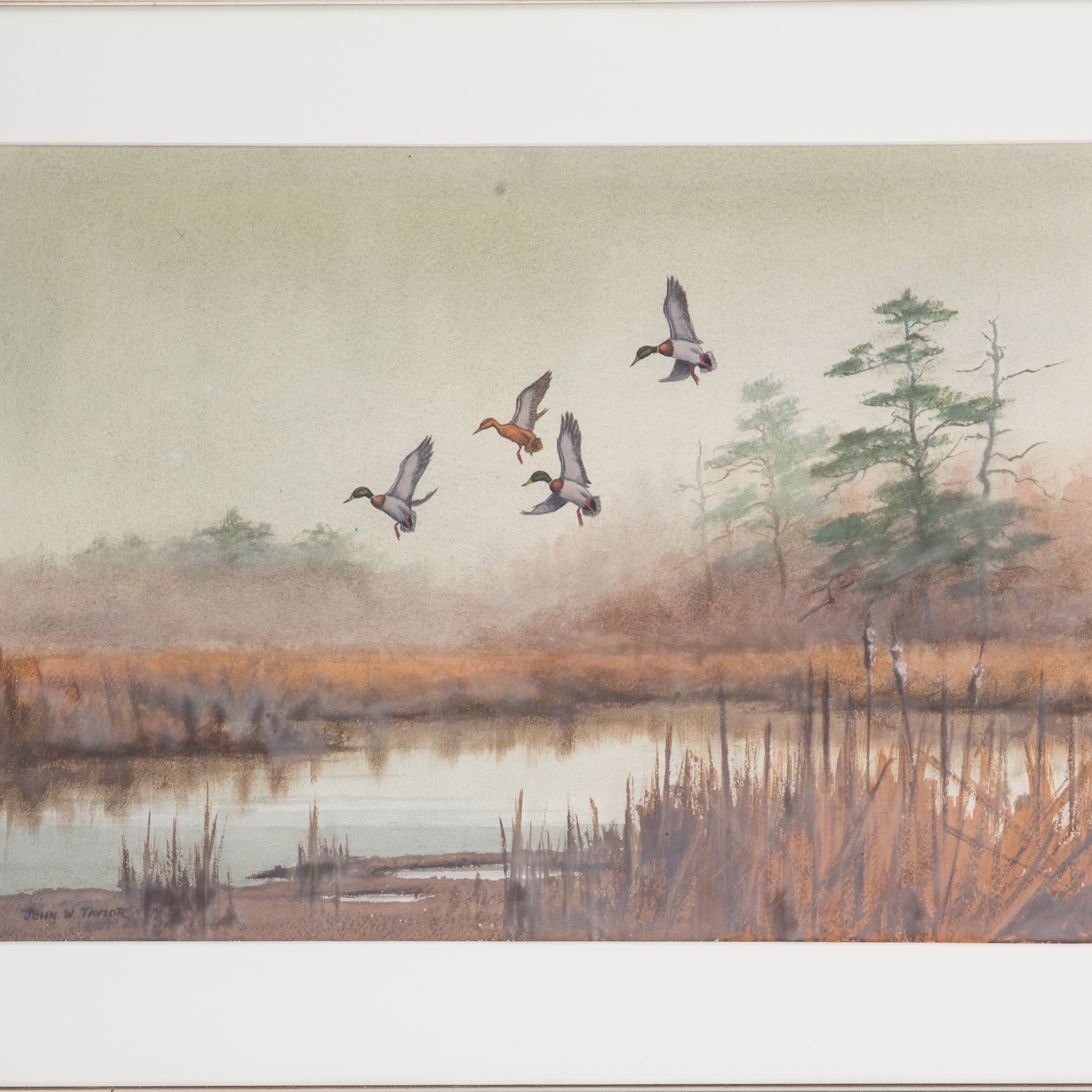 John W. Taylor | Ducks Flying Over Marsh | MutualArt