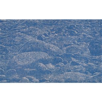 Gertsch Franz | Cima del mar (1990) | MutualArt