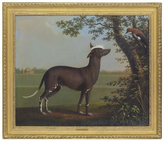 George Cuitt | A Chinese crested dog in a country landscape | MutualArt