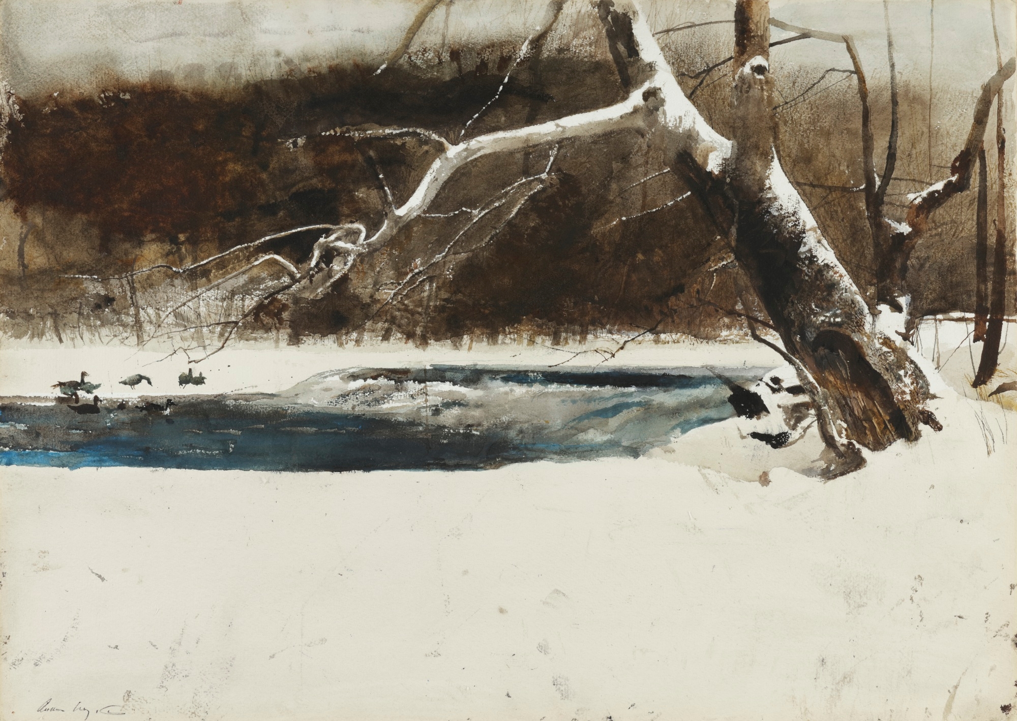 Andrew Wyeth | Hawking (1978) | MutualArt