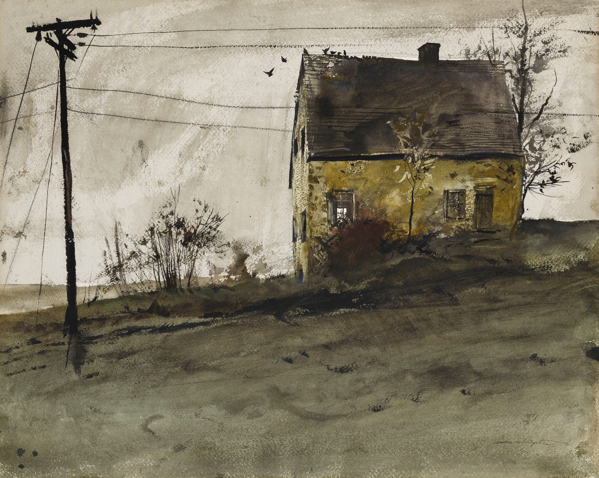 Andrew Wyeth | Cat Spruce (1954) | MutualArt