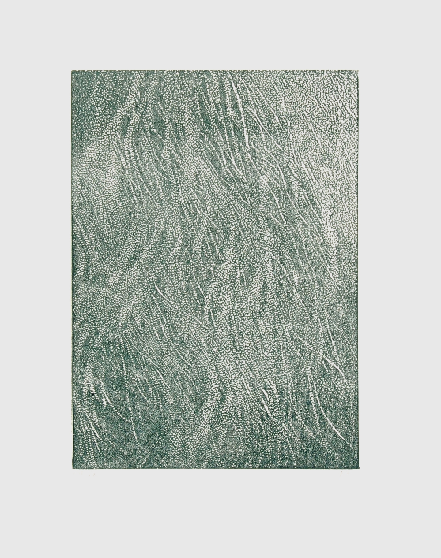 Franz Gertsch | Dominique, from 5 Bilder (1997) | MutualArt