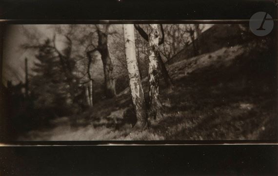Josef Sudek | Vue panoramique de la forêt de Mionsi (1950 - 1960 ...