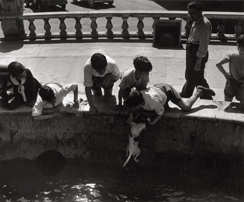 Herbert List | Children saving dog from fountain, Rome (1951) | MutualArt