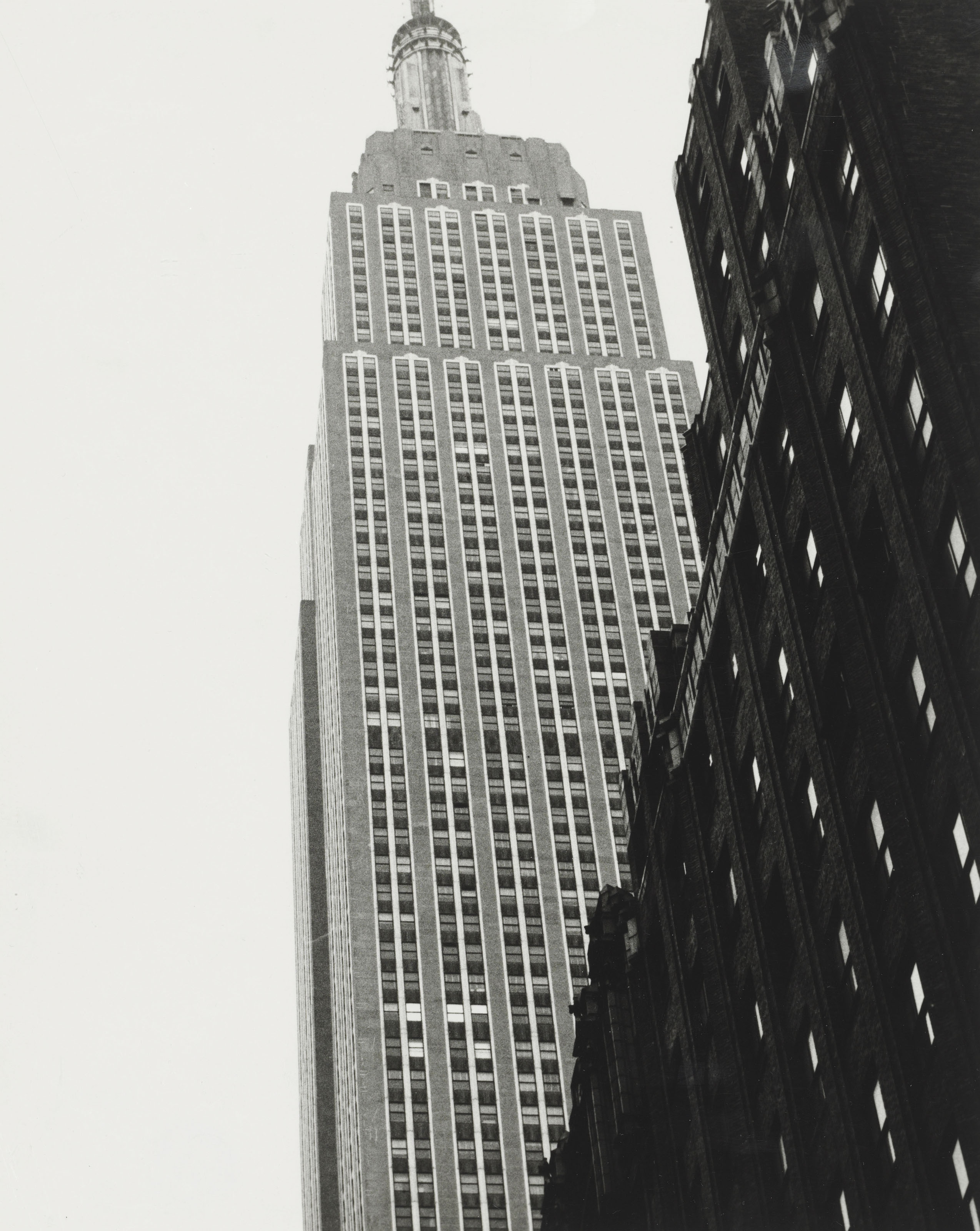 Andy Warhol | Anatomy Class; Buffalo; Buildings; Cars; Flag; Flowers ...