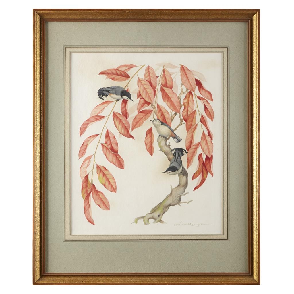 Athos Menaboni | TUFTED TITMOUSE; AND A COMPANION | MutualArt