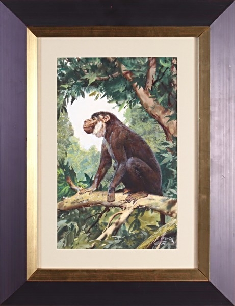 Zdeněk Burian | Aegyptopithecus Zeuxis Simons (1978) | MutualArt