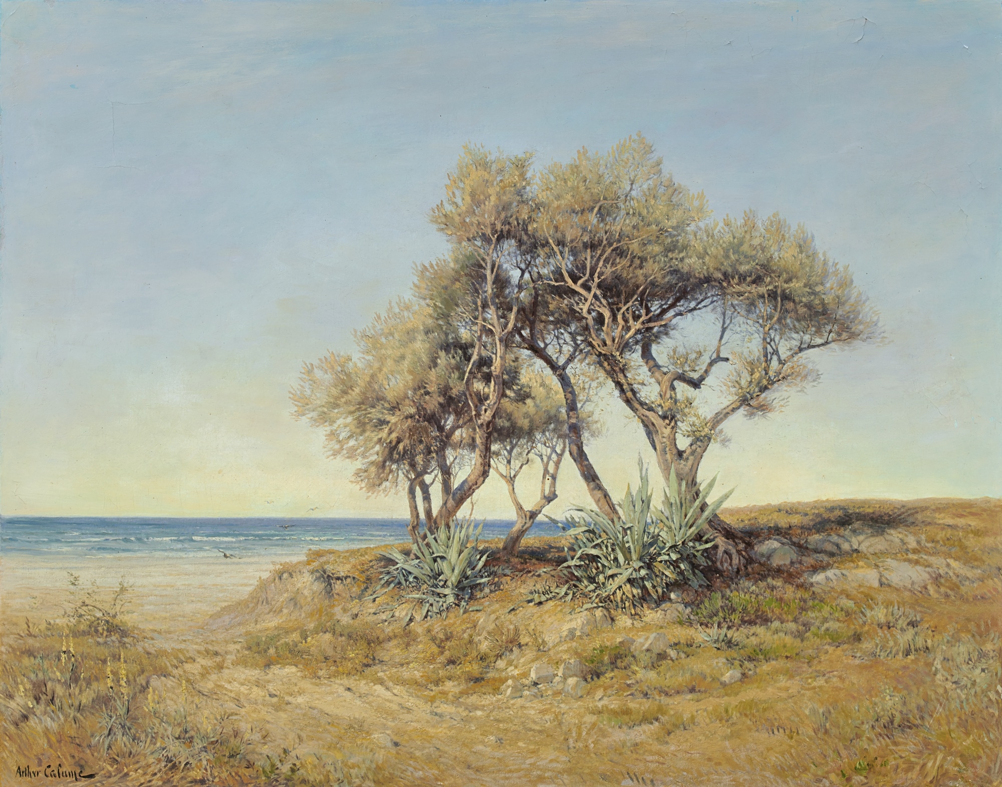 Jean Baptiste Arthur Calame | LES SABLES DE VINTIMILLE | MutualArt