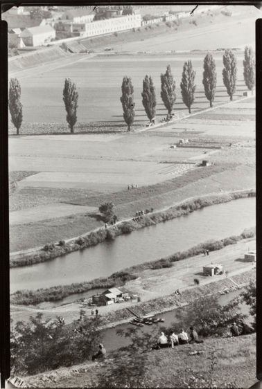 Josef Sudek | Sans titre. La forêt de Mionsi 13ème version | MutualArt