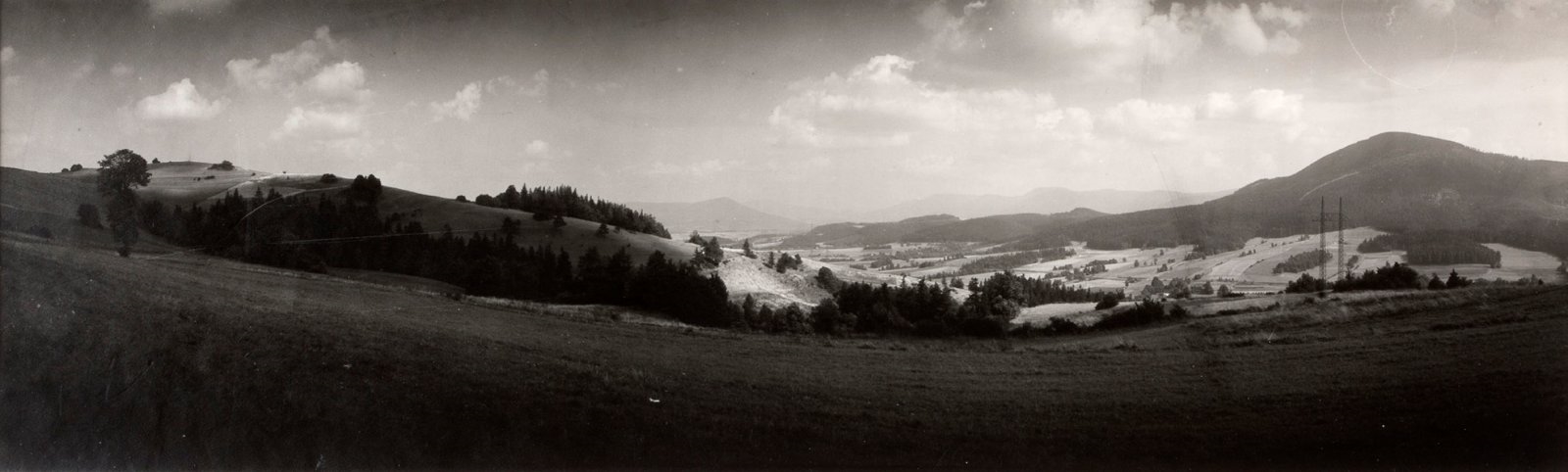 Josef Sudek | ans titre («La forêt de Mionsi») (1950 - 1960) | MutualArt