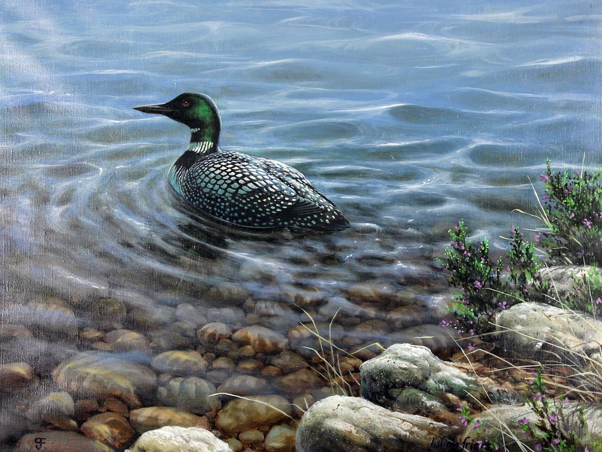 Julian Friers | Great Northern Diver | MutualArt