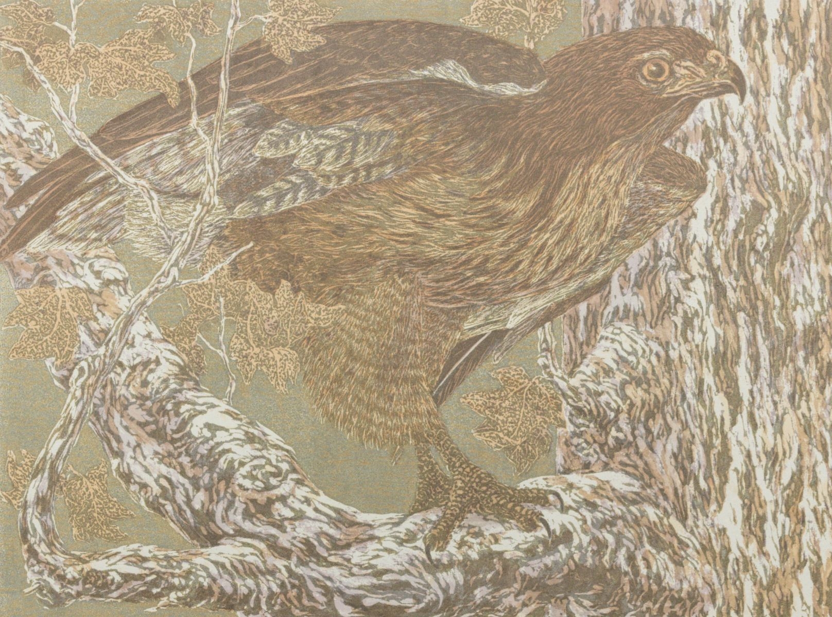 Janet Turner | The Hawk (1980) | MutualArt
