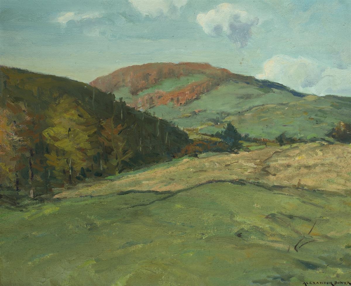 Alexander Bower | Untitled Landscape | MutualArt