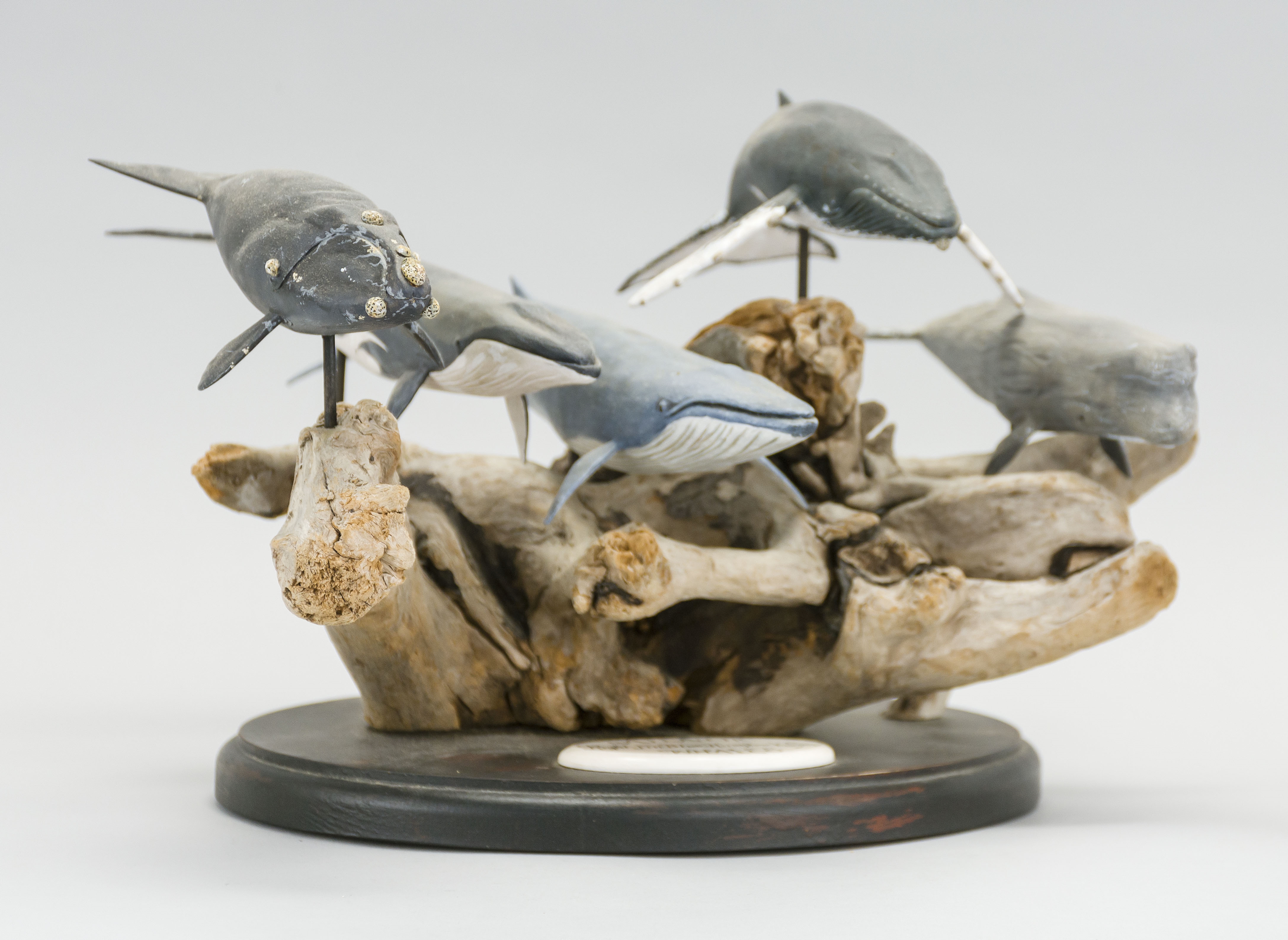 Frank J. Adamo | Atlantic Whales | MutualArt