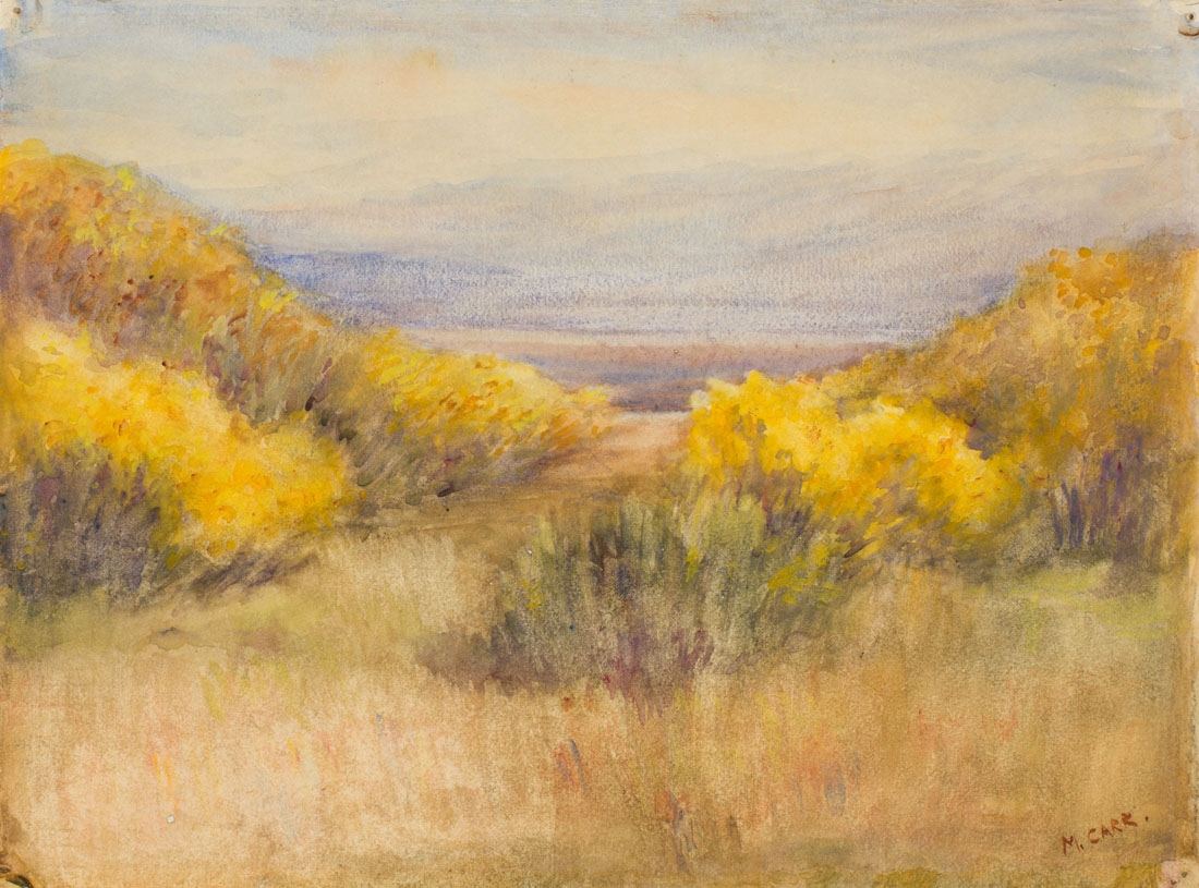 Emily Carr | From Beacon Hill | MutualArt