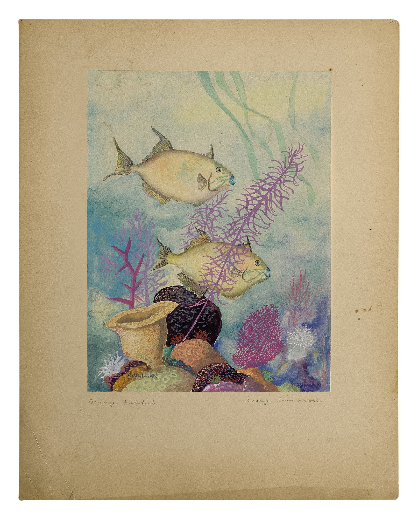 George Swanson | ORANGE FILEFISH ON A REEF (Circa 1935) | MutualArt