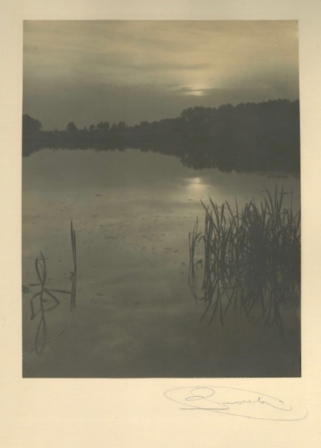 Josef Sudek | Sans titre. La forêt de Mionsi 13ème version | MutualArt